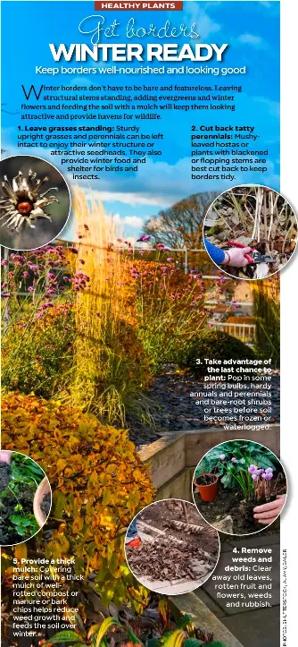 Get borders WINTER READY - PressReader