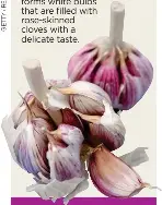 FIVE BULBS WITH BITE - PressReader