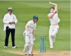 Potts in line for rapid rise to England ranks - PressReader