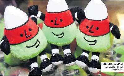 Urdd enriching Wales’ economy as well as culture - PressReader