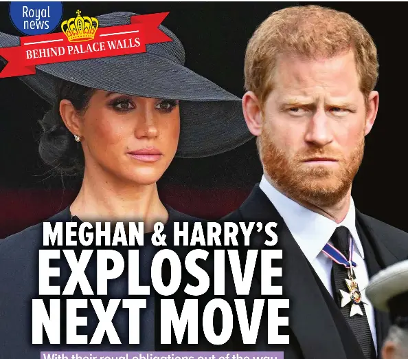 MEGHAN & HARRY’S EXPLOSIVE NEXT MOVE - PressReader
