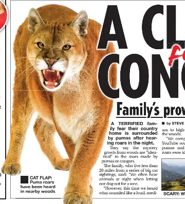 A CLAWS CONCERN - PressReader