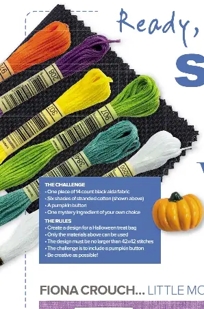 Ready, Steady, Stitch... - PressReader