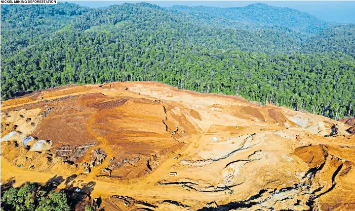 Rainforest­s destroyed in Indonesia’s nickel mining drive to reach net zero - PressReader