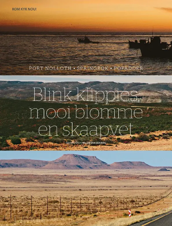 Blink klippies, mooi blomme en skaapvet - PressReader