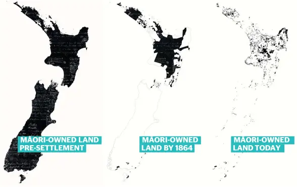 How much land have Māori lost? - PressReader