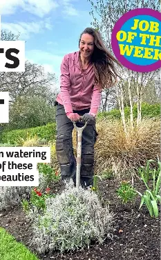 GROW PLANTS THAT LIKE IT DRY! - PressReader