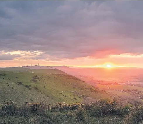 South Downs National Park ma wildlife success stories - PressReader