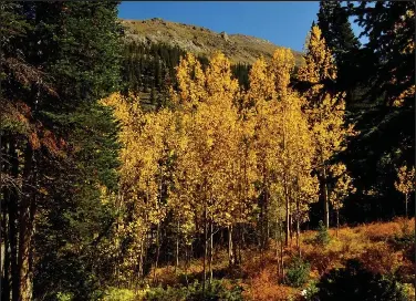 Fall colors are on their way — and the leaf-peeping may be extra good ...
