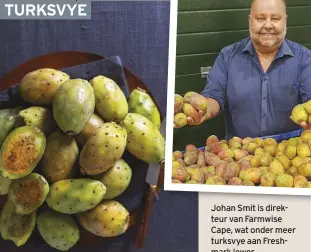 JOHAN SMIT DIREKTEUR - PressReader