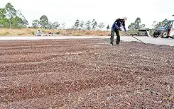Drought reshapes Brazil farming - PressReader
