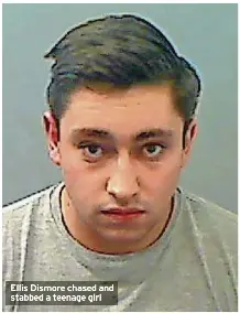 Stabbed teen girl five times after chase - PressReader