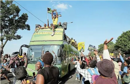 Springboks triumph teaches us how to be a winning nation - PressReader