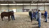 Riding center needs donations for equine therapy programs - PressReader
