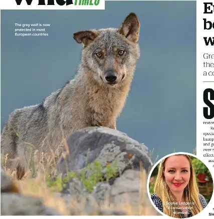 Europe becoming wilder - PressReader