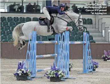 ‘Quirky’ mare is worth the wait - PressReader