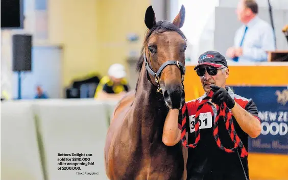 Expensive yearling is yours - PressReader