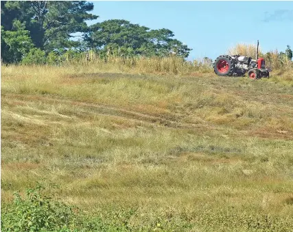 Golfer Fox leads Nadi club revival - PressReader