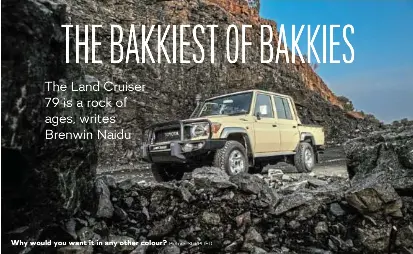 THE BAKKIEST OF BAKKIES - PressReader