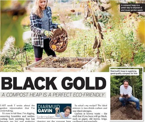 BLACK GOLD - PressReader