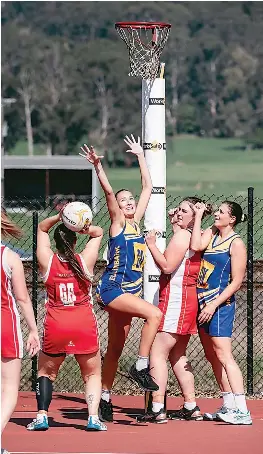 Eagles soar over Bloods - PressReader