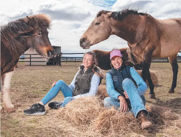 How equine-assisted learning helped Terri - PressReader
