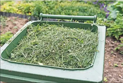 Free green waste disposal at centres - PressReader