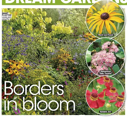 Borders in bloom - PressReader