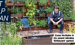 FIVE EXPERT TIPS TO HELP SHAPE URBAN GARDENS - PressReader