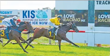 Hawke’s Bay jockey Kate Hercock back in the winner’s stall - PressReader