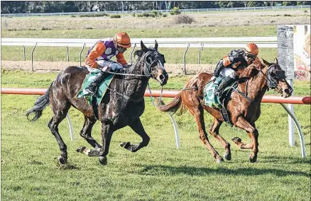 Fresh Painter brings joy on a sad day - PressReader