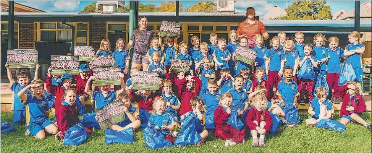 Big Red V comes to Wellington with a message of wellbeing for kids ...