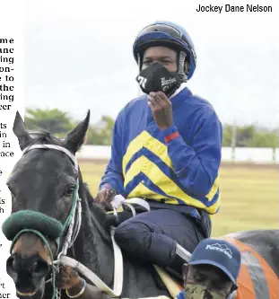 Dane Nelson returns with aim of reaching 1,200 winners - PressReader