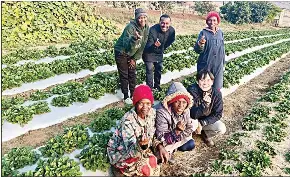 39 farmers empowered through Taiwan project - PressReader