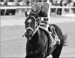 Rated by Merit still untested coming into Affirmed Stakes - PressReader