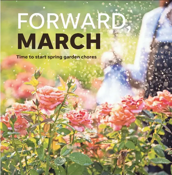 FORWARD, MARCH - PressReader