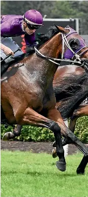 Johnson Staying in the saddle - PressReader