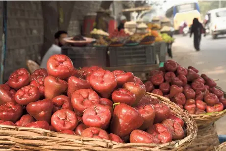 Expert team arriving to catch tiger moving in maize fields near Eluru ...