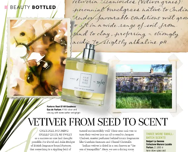 VETIVER FROM SEED TO SCENT - PressReader