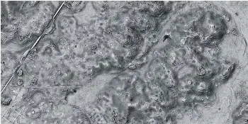 Laser scanning of jungle reveals traces of an ancient Mayan city ...