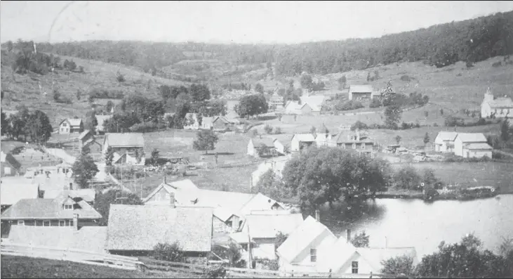 The magic of Fitch Bay - PressReader