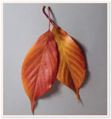 Demonstrat­ion - PressReader