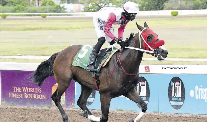 SVREL boss Sharpe expecting Triple Crown series at Caymanas Park ...
