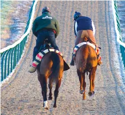 ‘Cautious optimism’ on jockeys’ mental wellbeing - PressReader