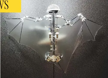 Whoosh! Swish! Meet Bat Bot - PressReader