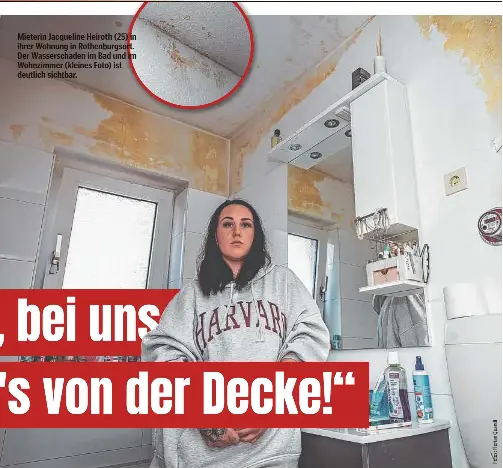 „Hilfe, bei uns tropft's von der Decke!“ - PressReader