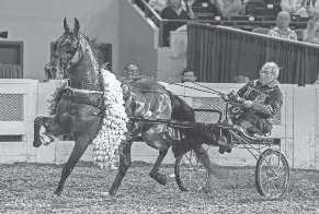 2025 KENTUCKY STATE FAIR - PressReader