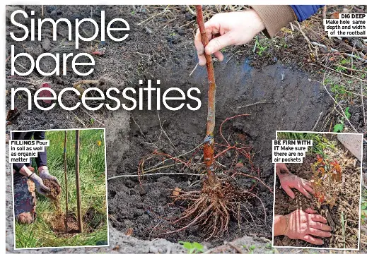 Simple bare necessitie­s - PressReader