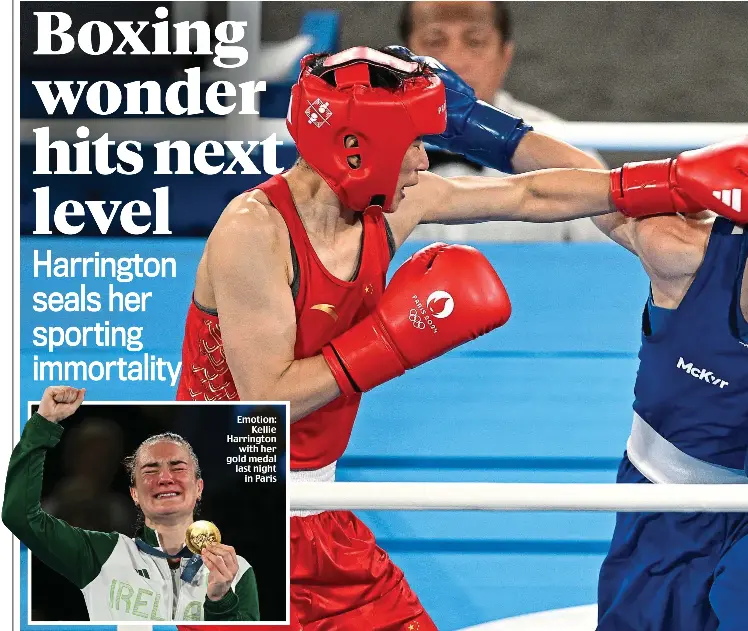 Boxing wonder hits next level - PressReader