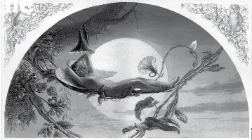 Fairies, Folklore and Forteana - PressReader